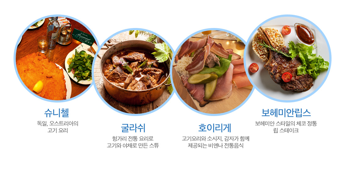 슈니첼 독일 오스트리아의 고기 요리 굴라쉬 헝가리 전통 요리로 고기와 야채로 만든 스튜 호이리게 고기요리와 소시지 감자가 함께 제공되는 비엔나 전통음식 보헤미안립스